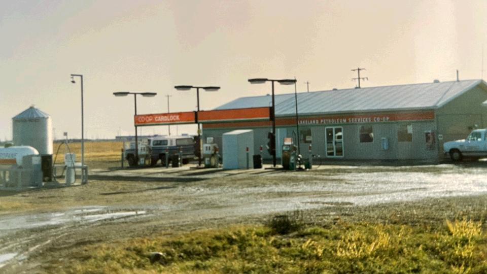 Help Guide the Future of our Co-op by becoming a Director | Lakeland ...